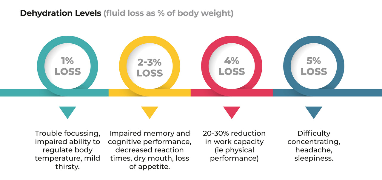 Body Armour - Hydration – BodyArmour.au
